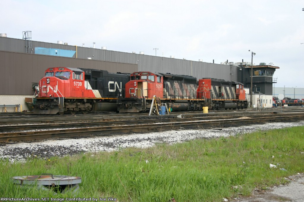 CN 5739, 5257 and 5255 on the outbound ready to go to work